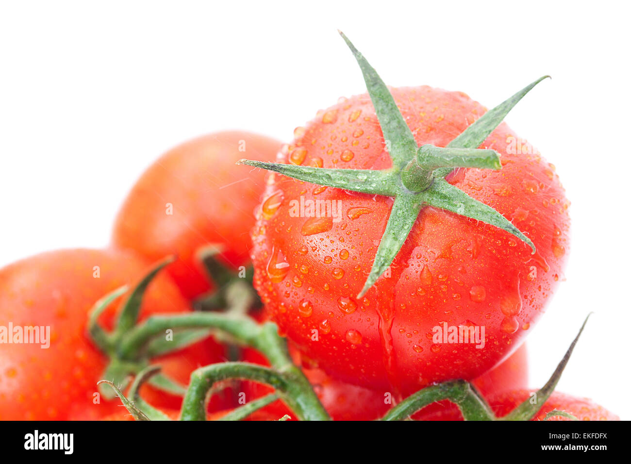 tomato with water drops isolated on white Stock Photo - Alamy