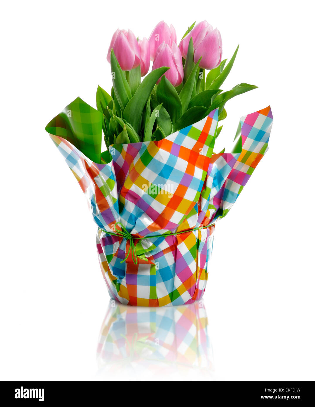 Pink fresh flower Cut Out Stock Images & Pictures - Alamy