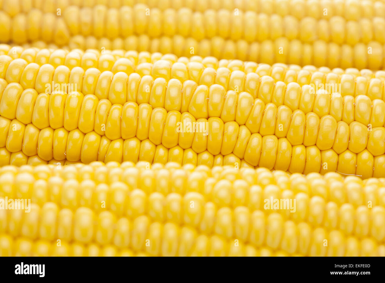 background of ripe yellow corn Stock Photo - Alamy