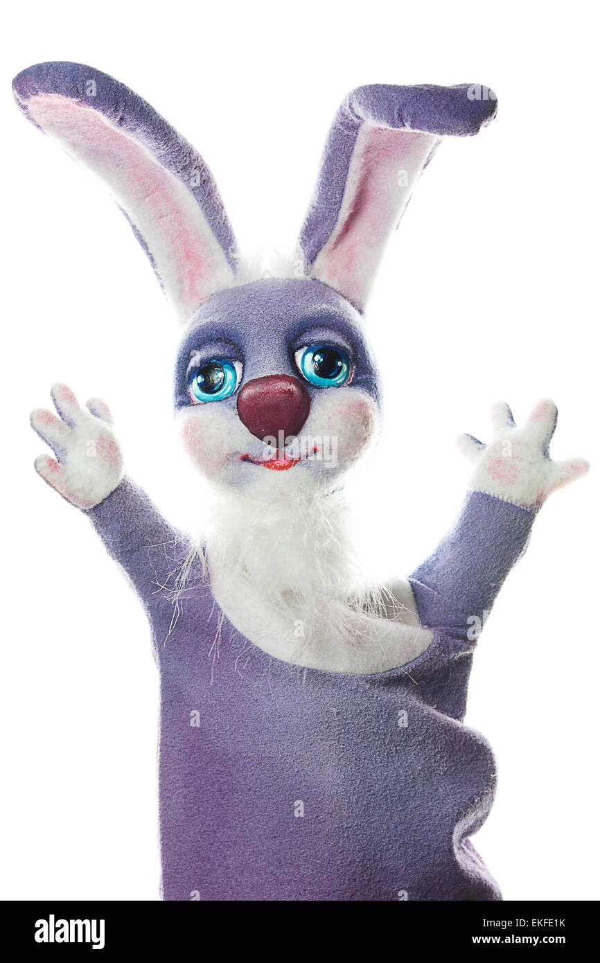 Funny rabbit hi-res stock photography and images - Alamy