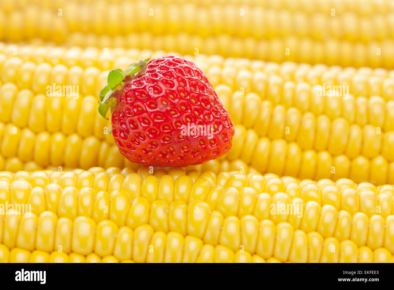background of ripe yellow corn and strawberry Stock Photo - Alamy