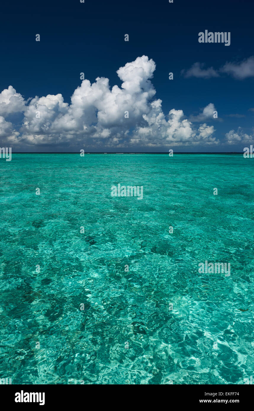 Crystal clear turquoise water at tropical beach Stock Photo - Alamy