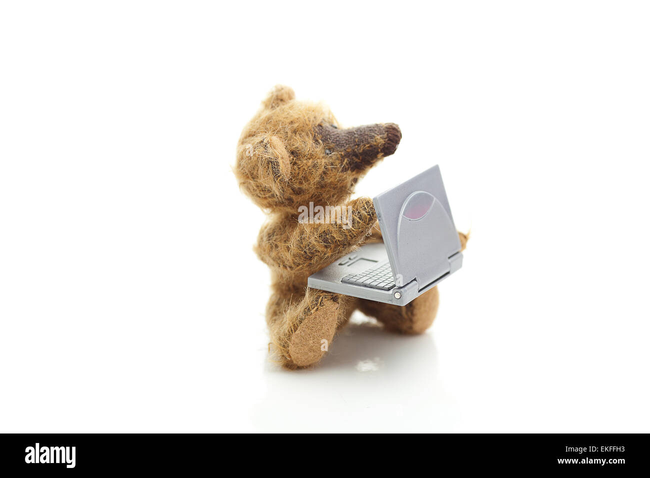 teddy bear and miniature laptop isolated on white Stock Photo - Alamy