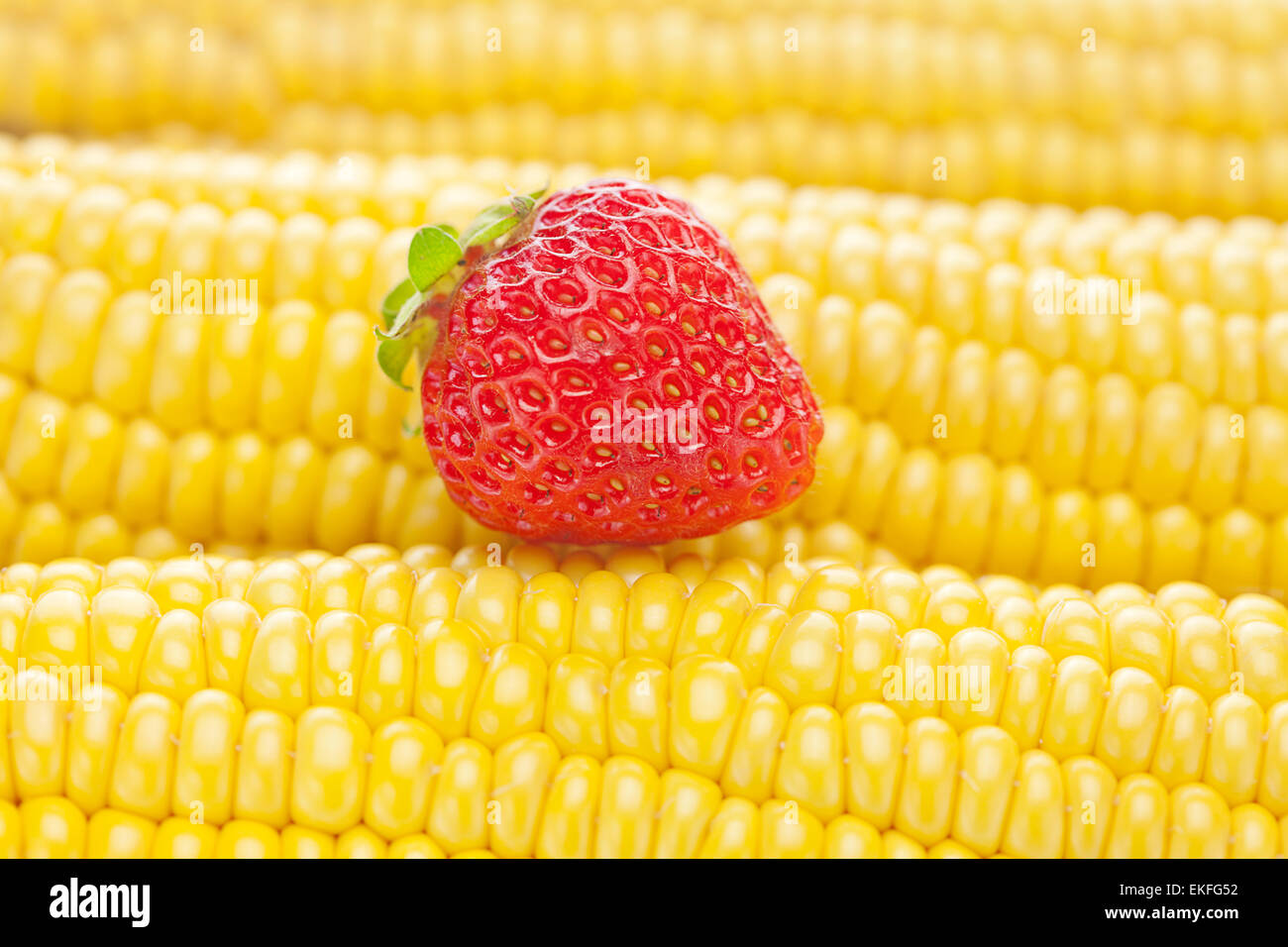 background of ripe yellow corn and strawberry Stock Photo - Alamy