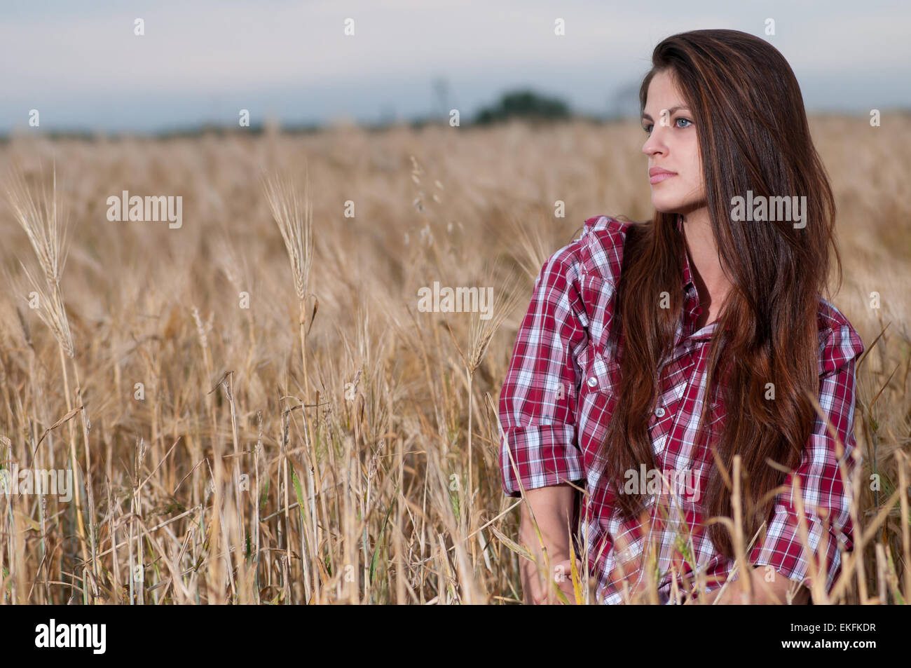 Beautiful cowboy woman posing in field Stock Photo - Alamy