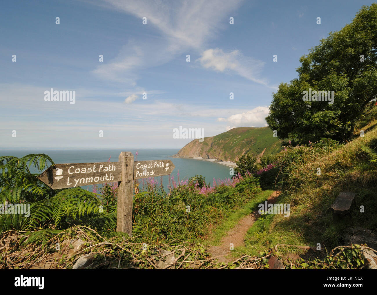 South west coast path devon foreland hi-res stock photography and ...