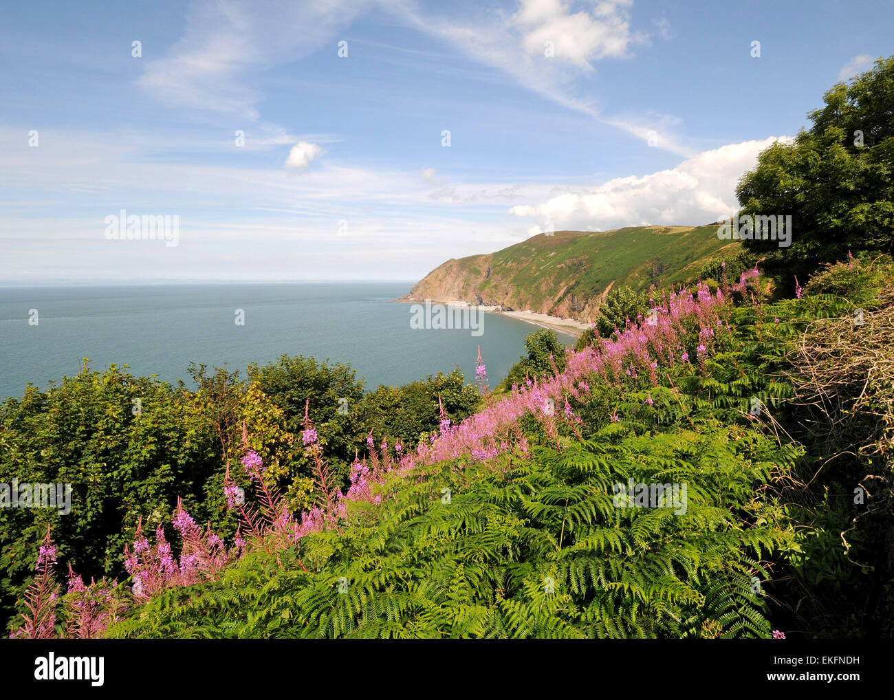 Countisbury_hill hi-res stock photography and images - Alamy