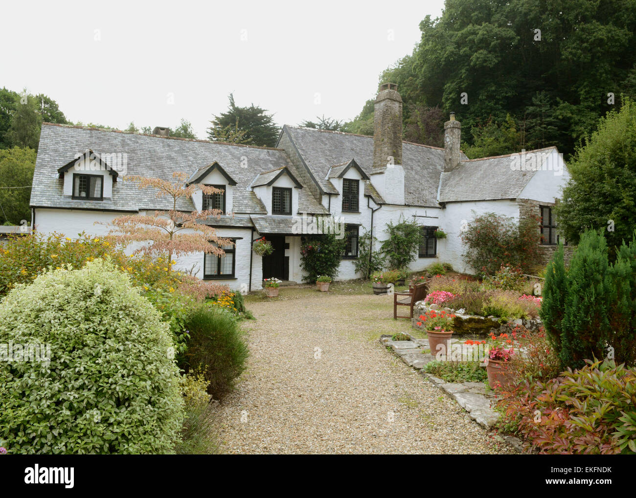 Chambercombe Manor Chambercombe Manor, Ilfracombe Stock Photo - Alamy