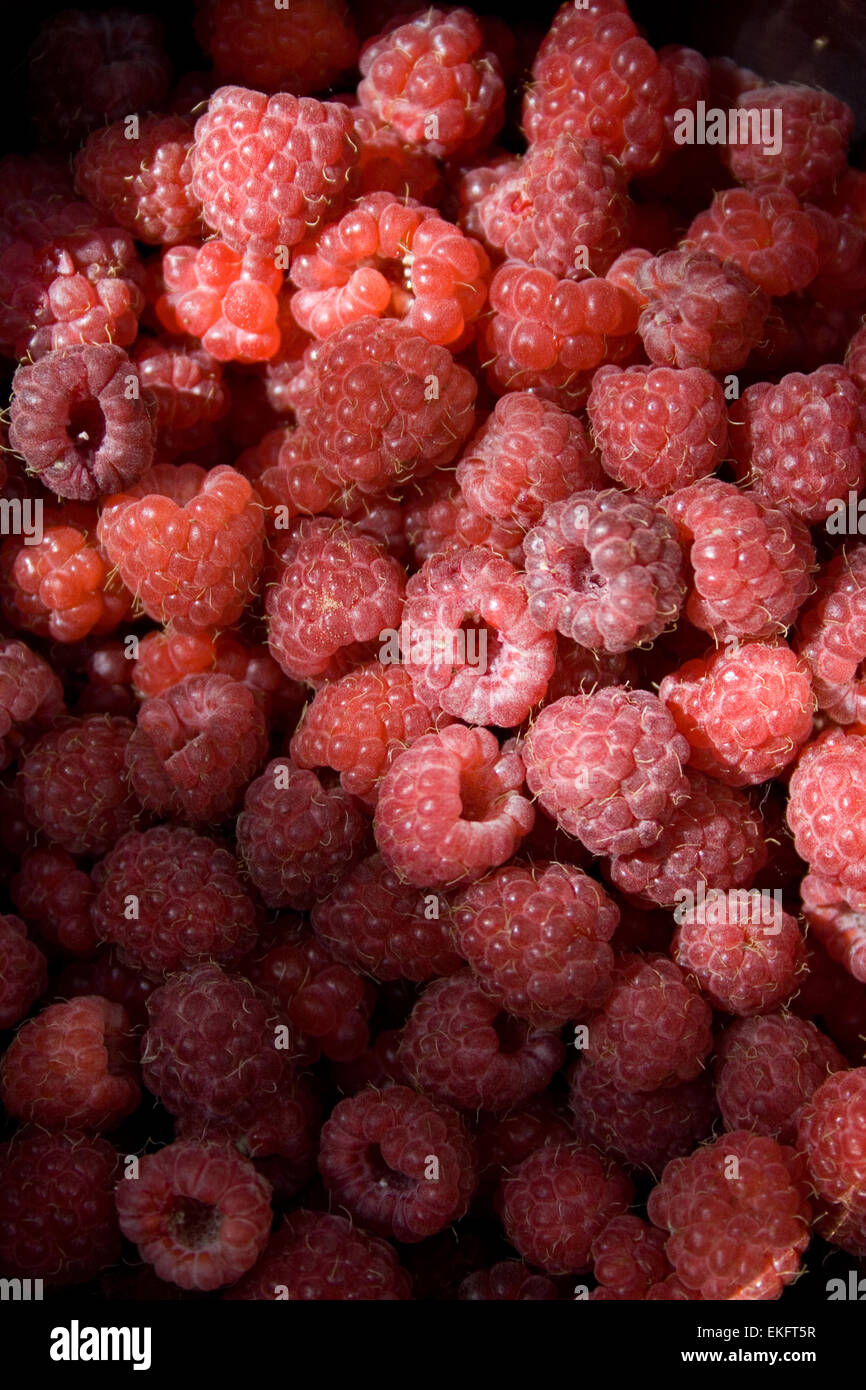 Raspberry fruit background Stock Photo - Alamy