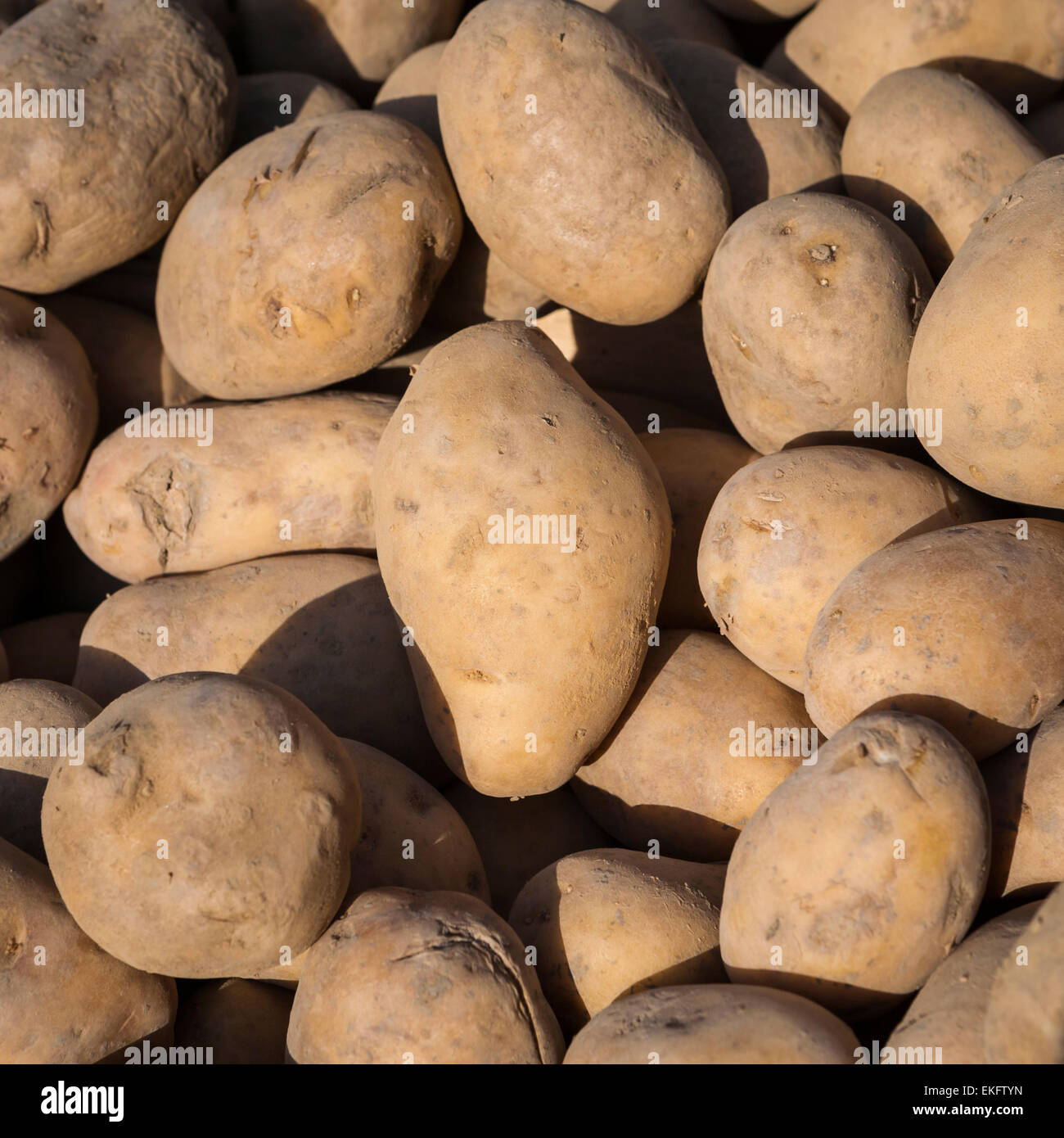 Processed potato hi-res stock photography and images - Alamy