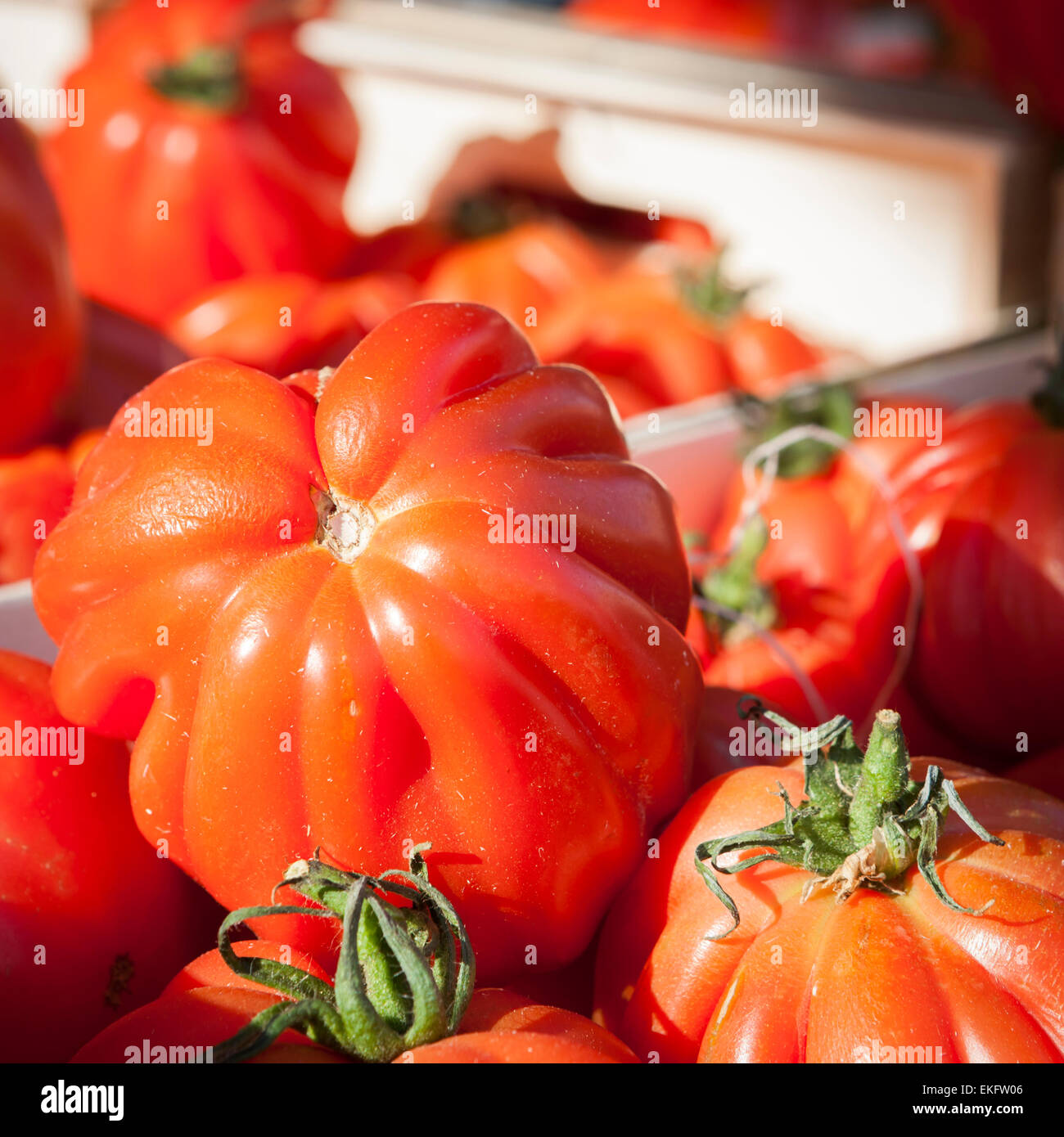 Plum travel hi-res stock photography and images - Alamy
