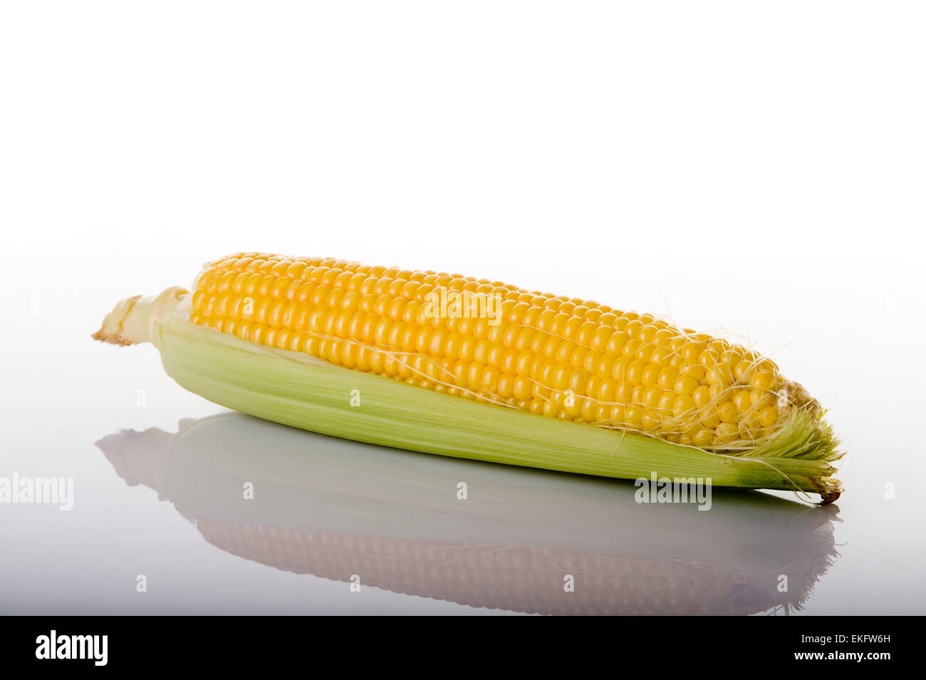 Corn in husk on white hi-res stock photography and images - Alamy