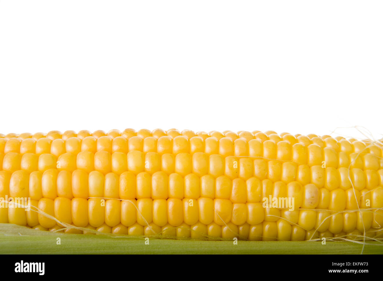 Corn in a Row Stock Photo - Alamy