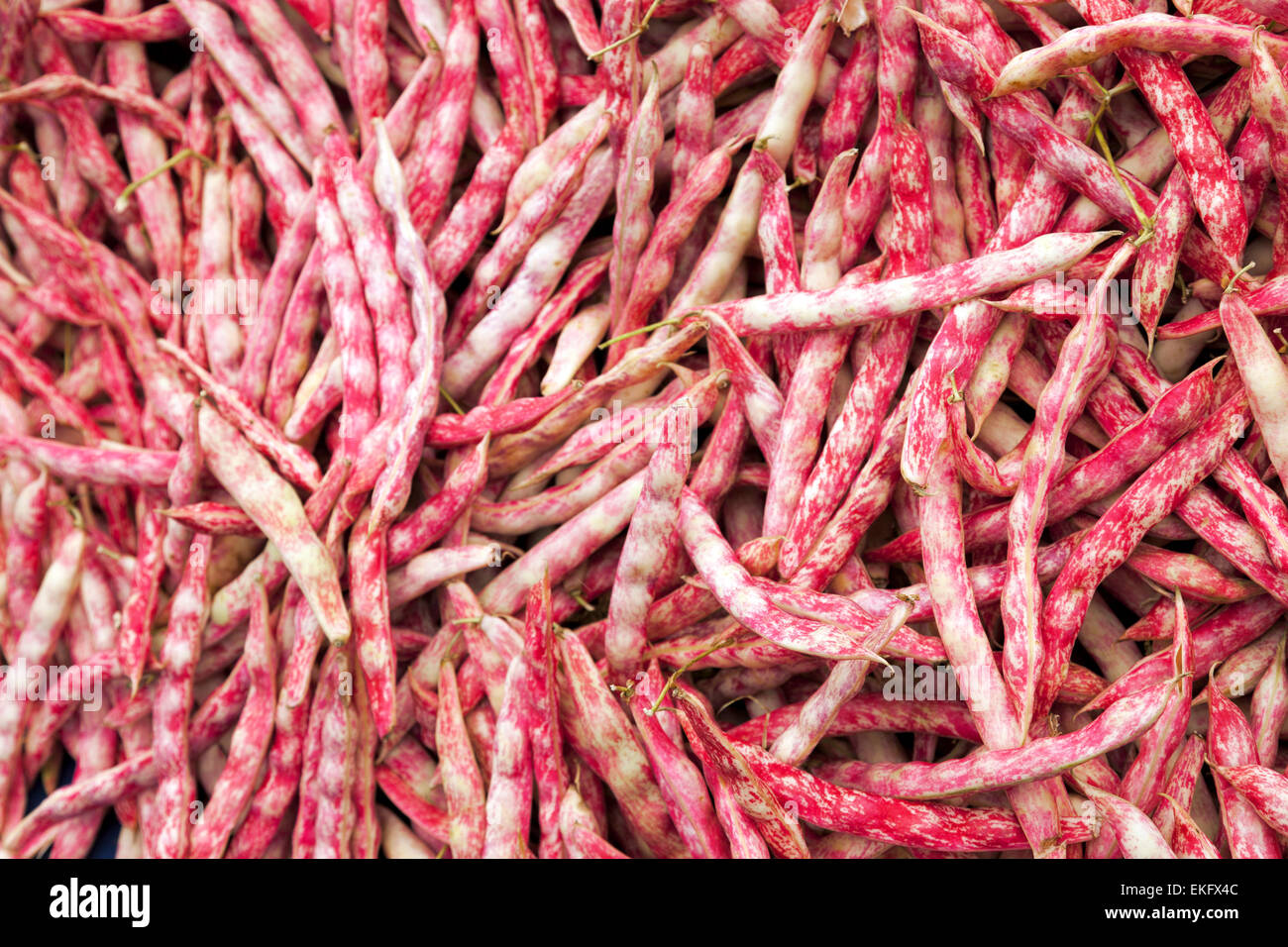 Pile Of Red Mullets Stock Photo - Alamy