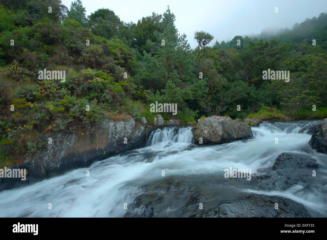 Mutarazi falls national park hi-res stock photography and images - Alamy