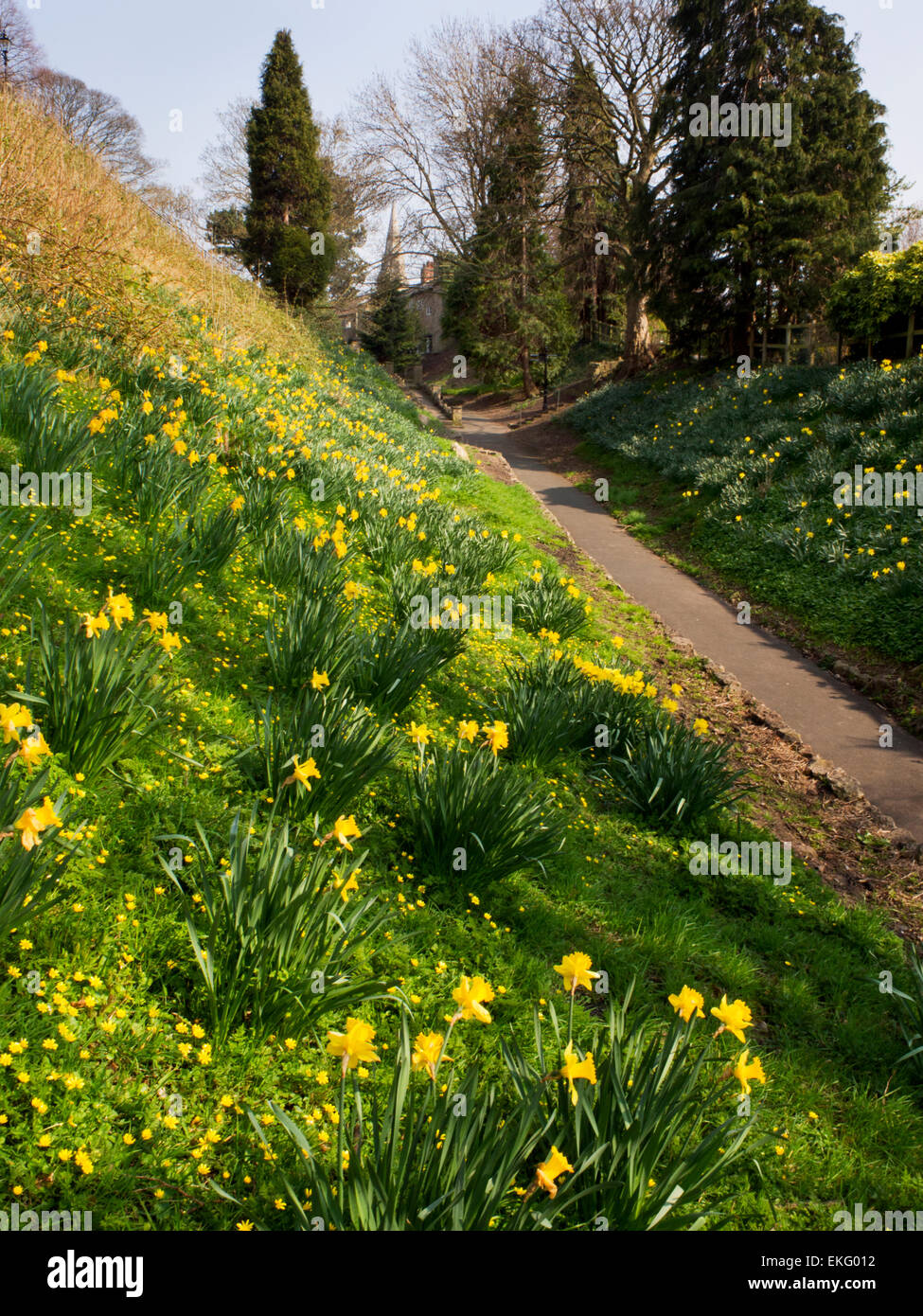 Knaresborough in bloom hi-res stock photography and images - Alamy