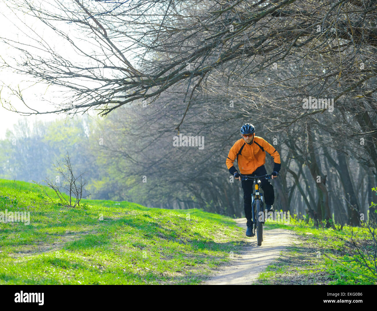 Cyclist Riding the Bike on the Trail in the Forest Stock Photo - Alamy