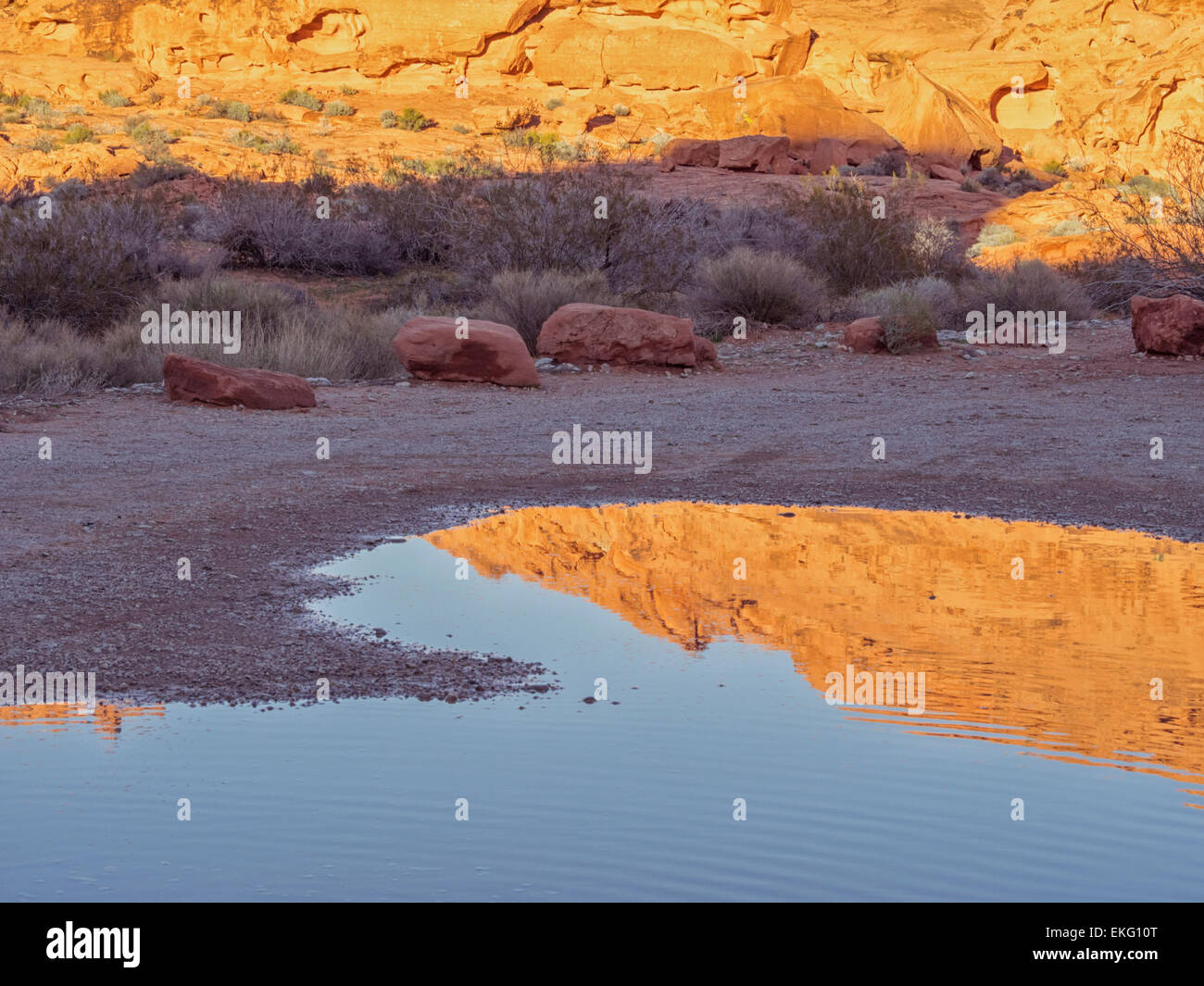 Late afternoon sunlight lends a glow to sandstone rock formations ...