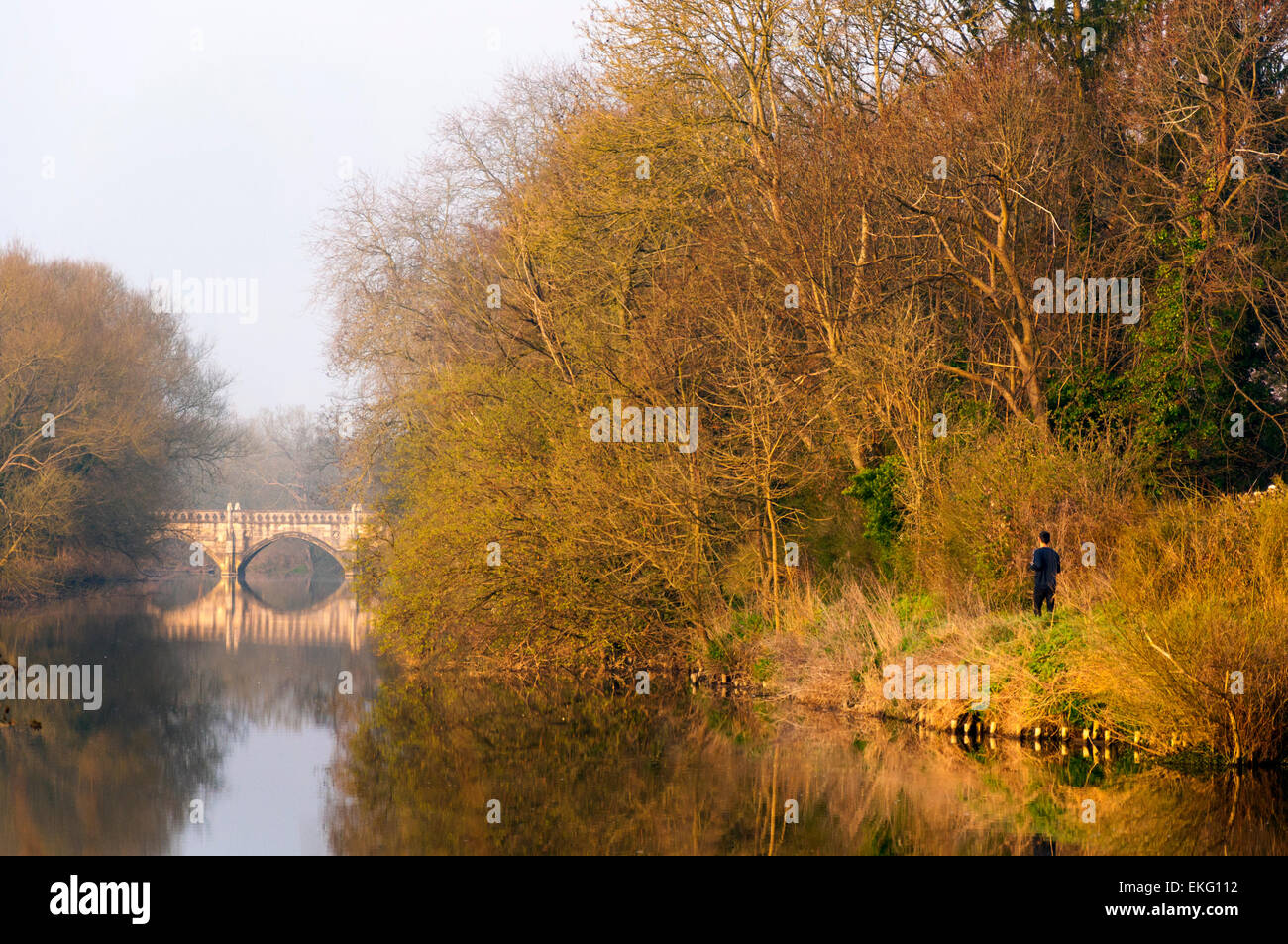 Early morning runner by River Avon at Batheaston Somerset Stock Photo ...
