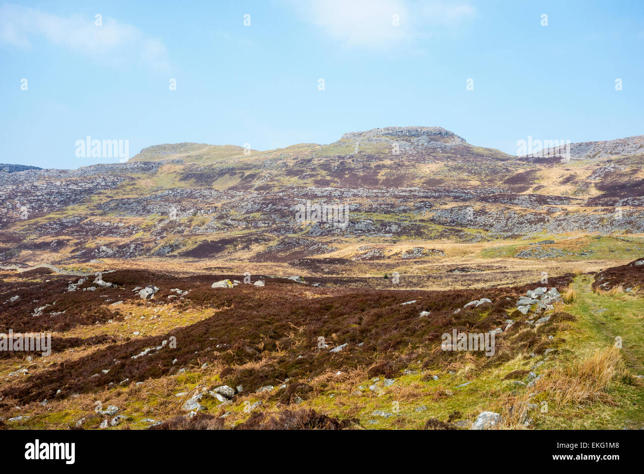 Moel Ysgyfarnogod in the Rhinogs North wales Stock Photo - Alamy