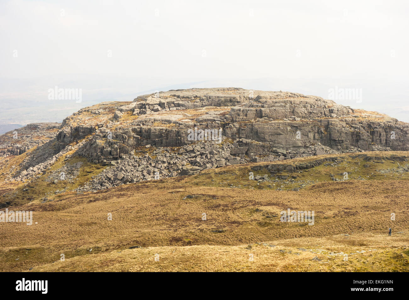 Looking across at Foel Penolau in the Rhinogs North Wales Stock Photo ...