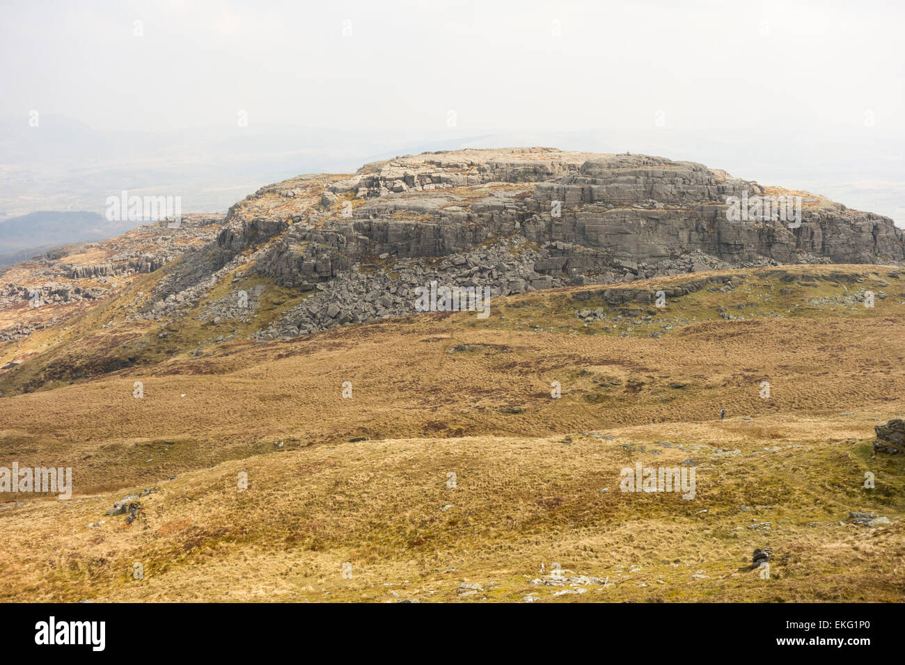 Looking across at Foel Penolau in the Rhinogs North Wales Stock Photo ...