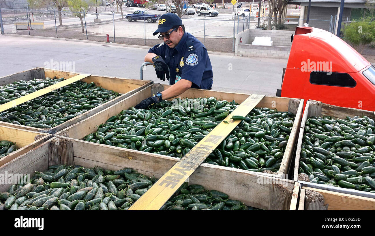 Cbp agriculture specialist hi-res stock photography and images - Alamy