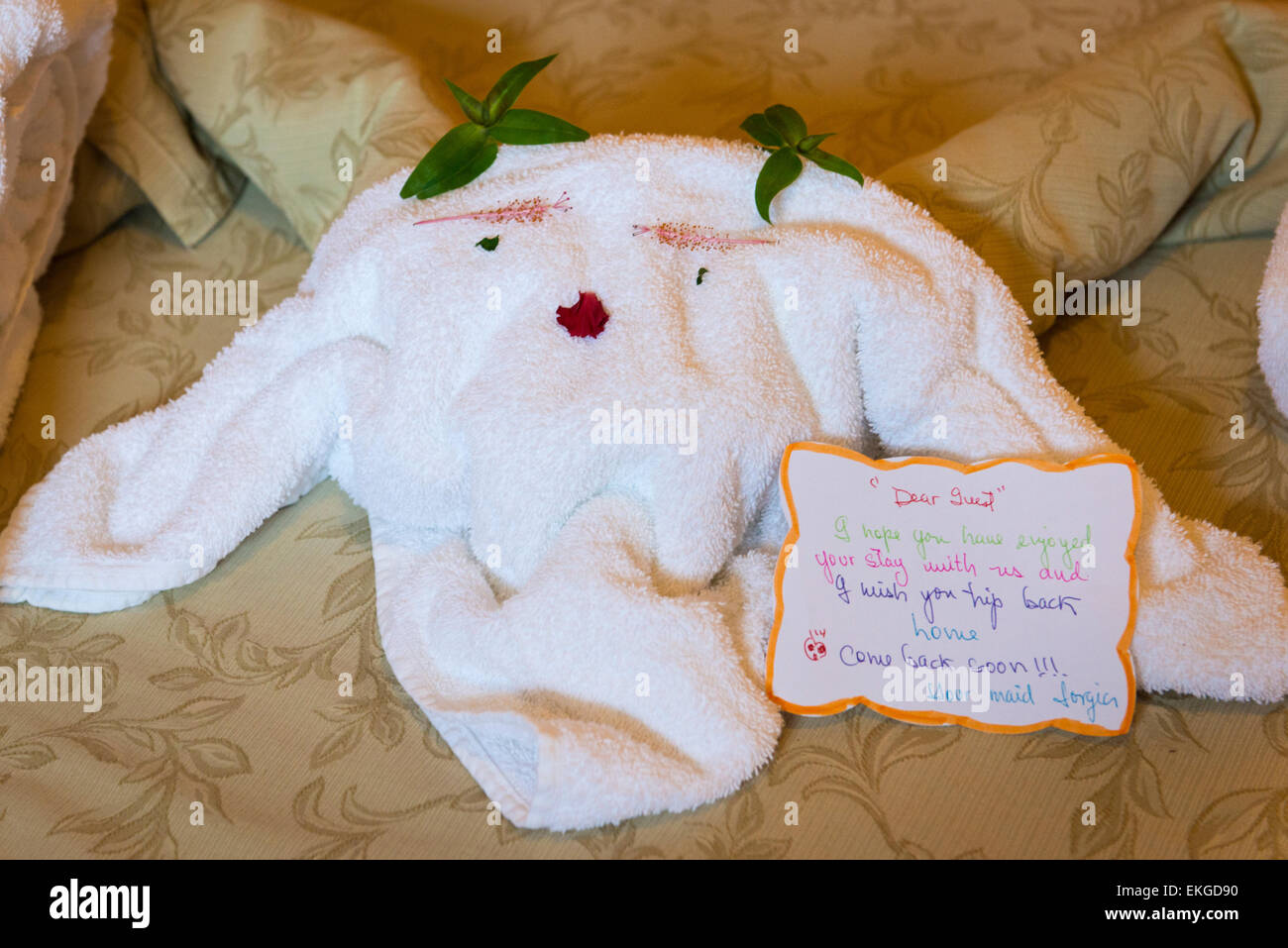 Cuban maid hi-res stock photography and images - Alamy