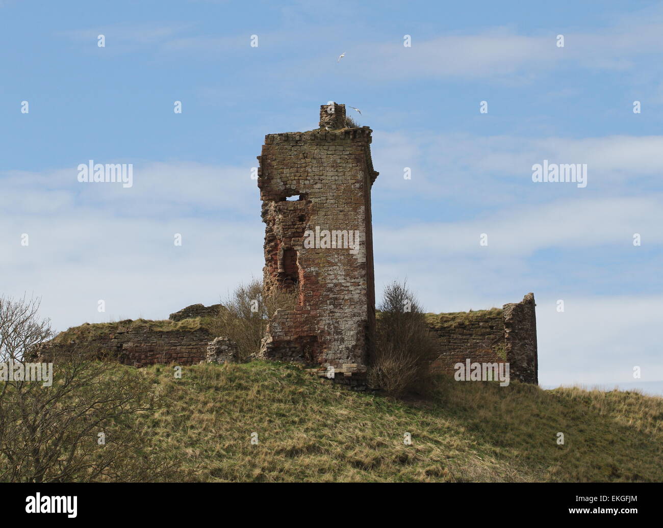 Ruin of Red Castle Lunan Bay Angus Scotland April 2015 Stock Photo - Alamy
