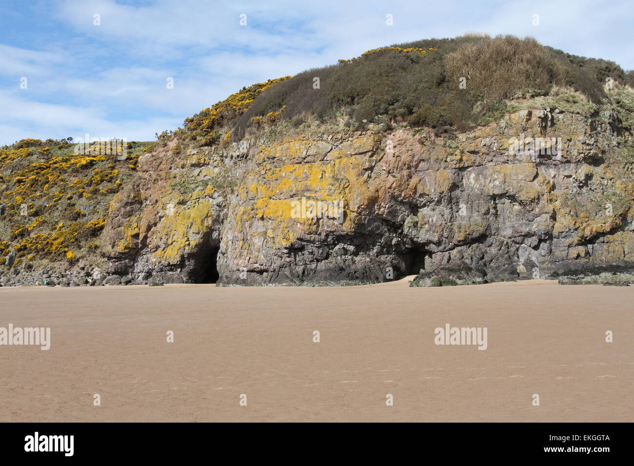 Caves at Lunan Bay Angus Scotland April 2015 Stock Photo - Alamy