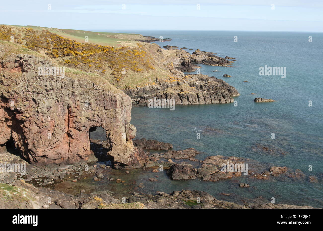 Elephant Rock Angus coast Scotland April 2015 Stock Photo - Alamy