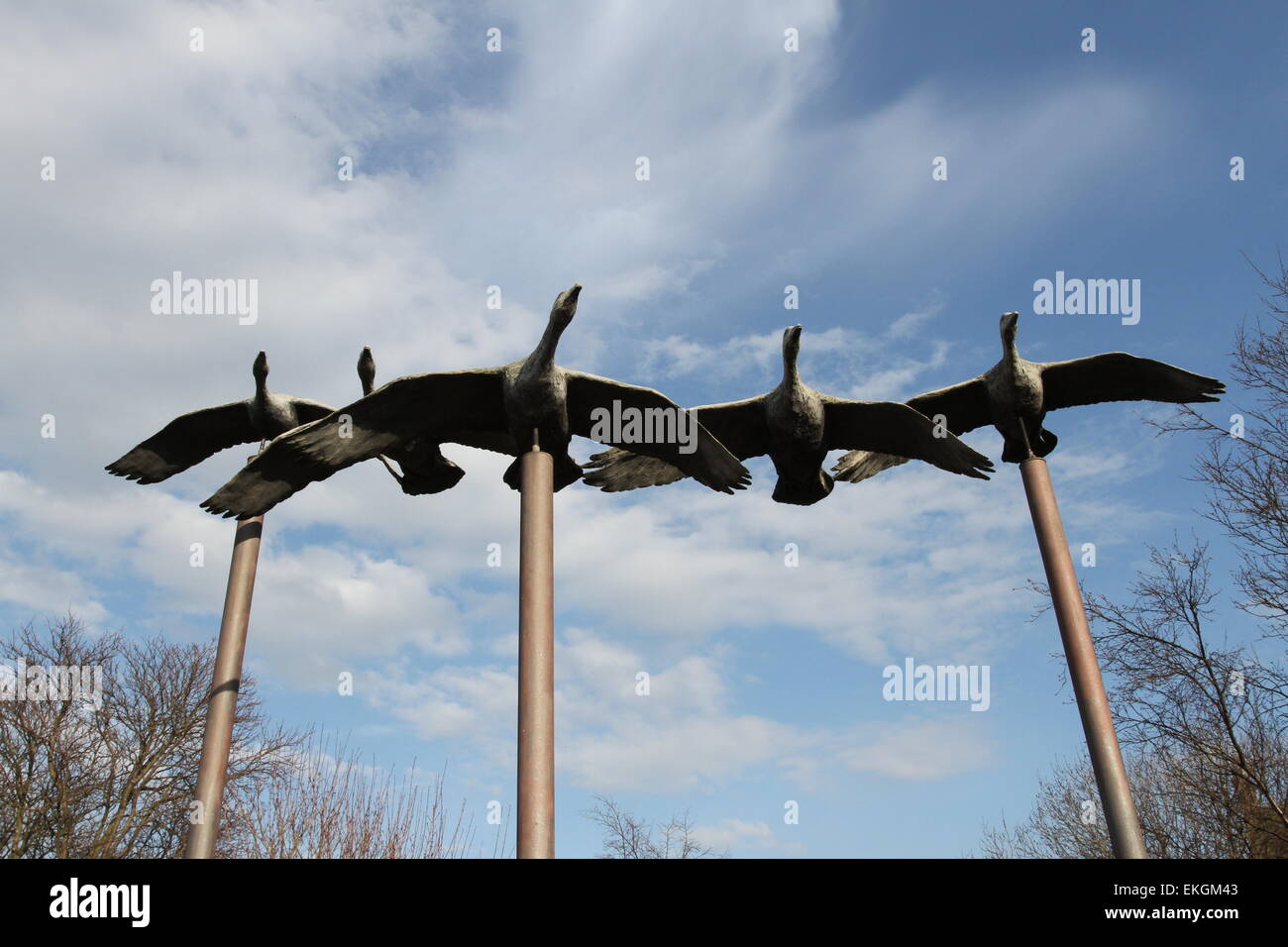 Flying birds sculpture Montrose Angus Scotland April 2015 Stock Photo ...