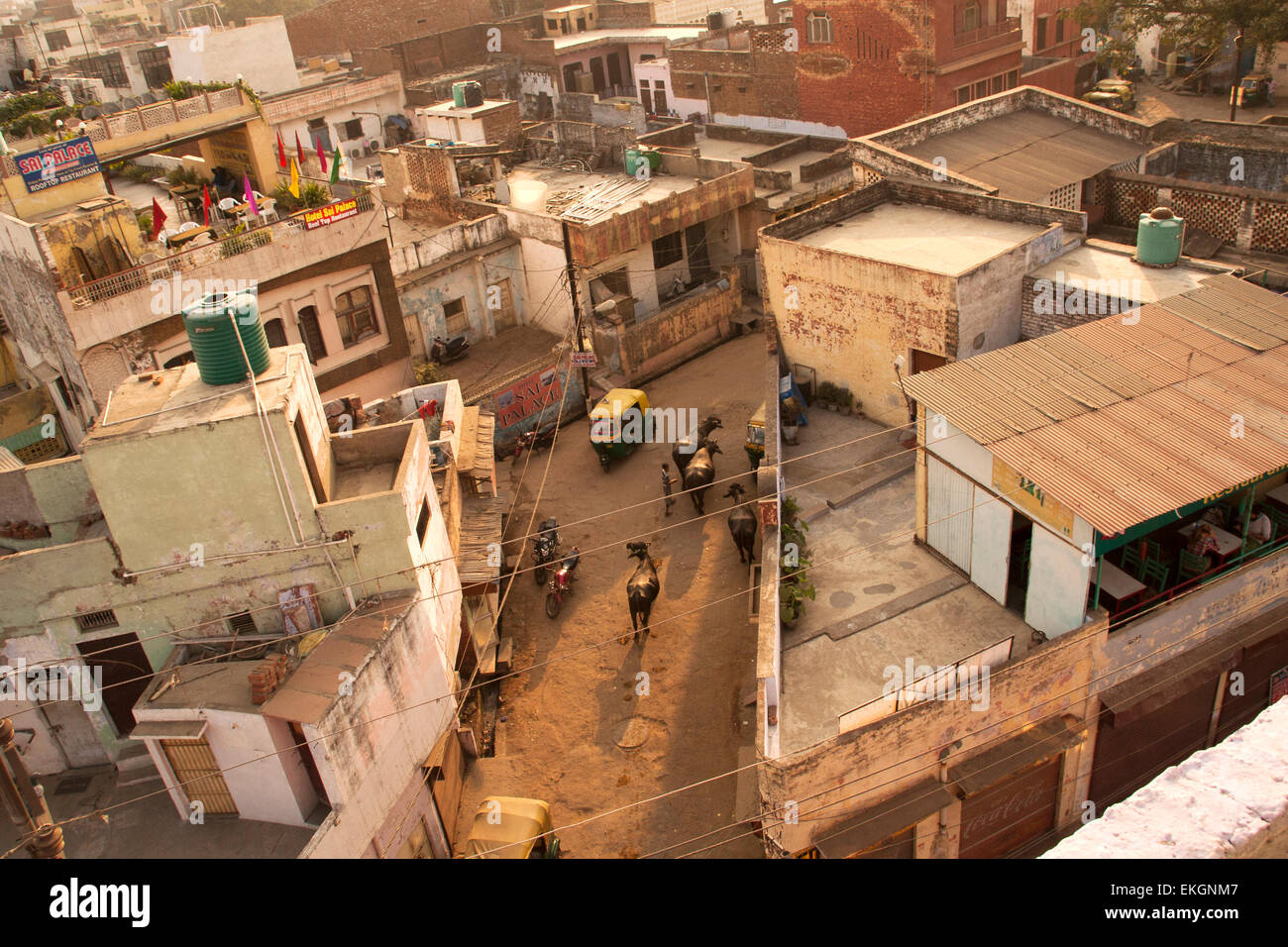 Adventure typical street scene in agra hi-res stock photography and ...