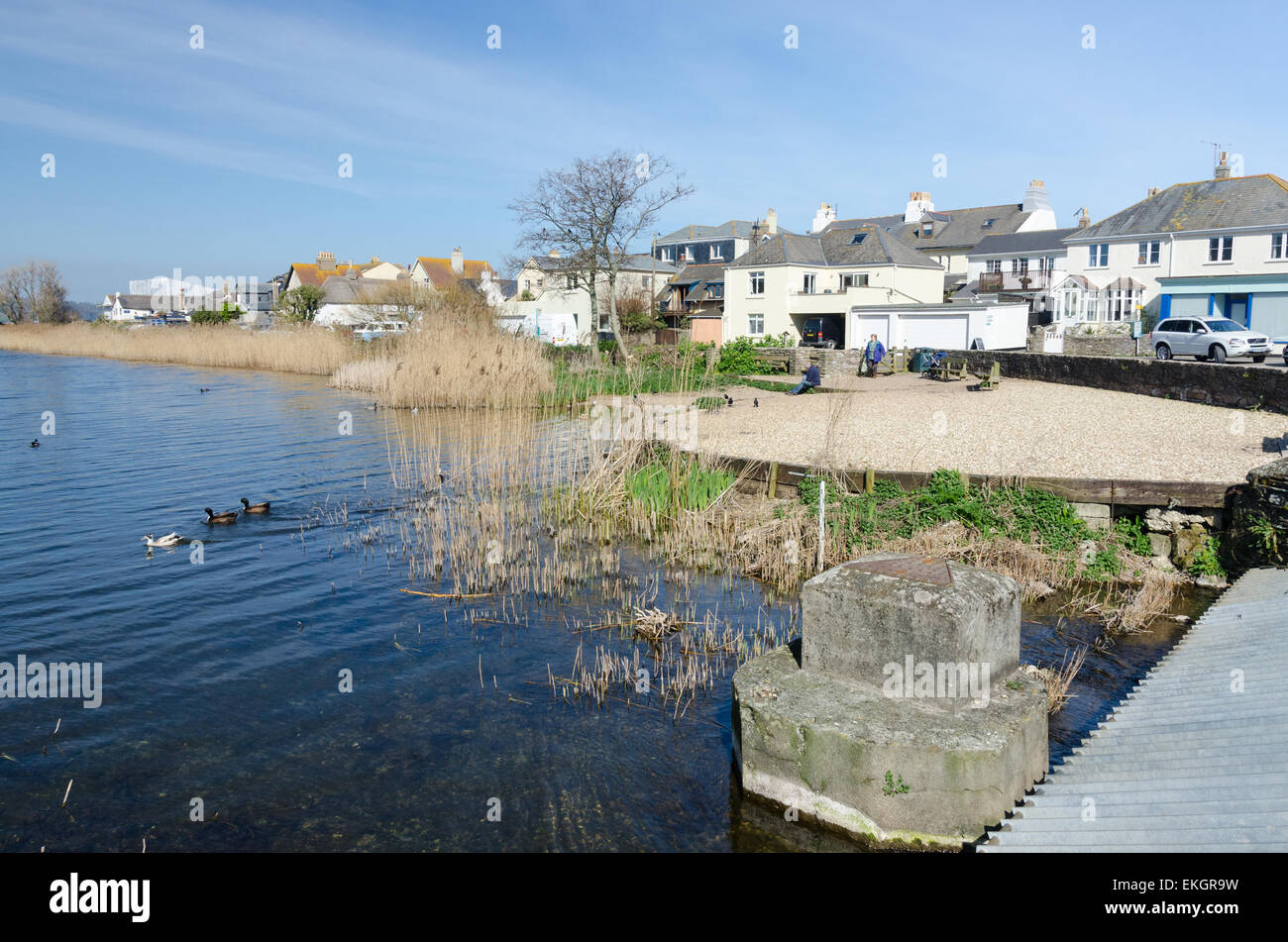 Slapton Ley nature reserve at Torcross in South Devon Stock Photo - Alamy