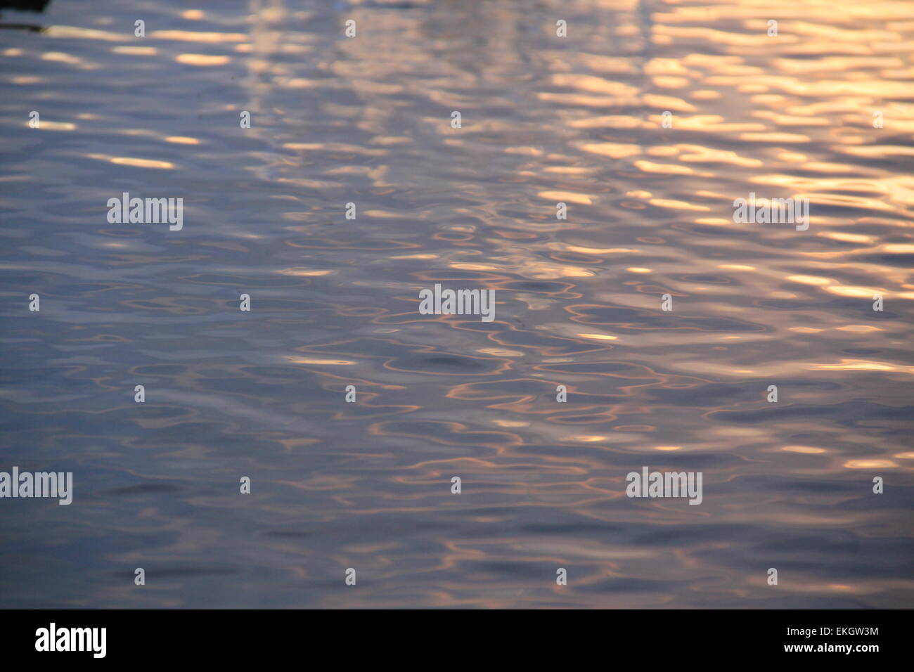 Deep moment close up hi-res stock photography and images - Alamy