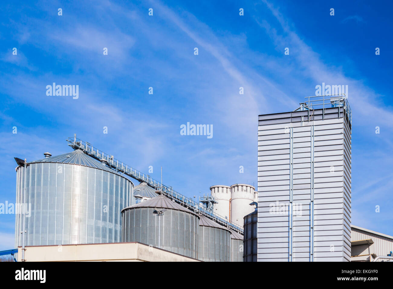 Storage facility cereals and production of biogas; silos and drying ...