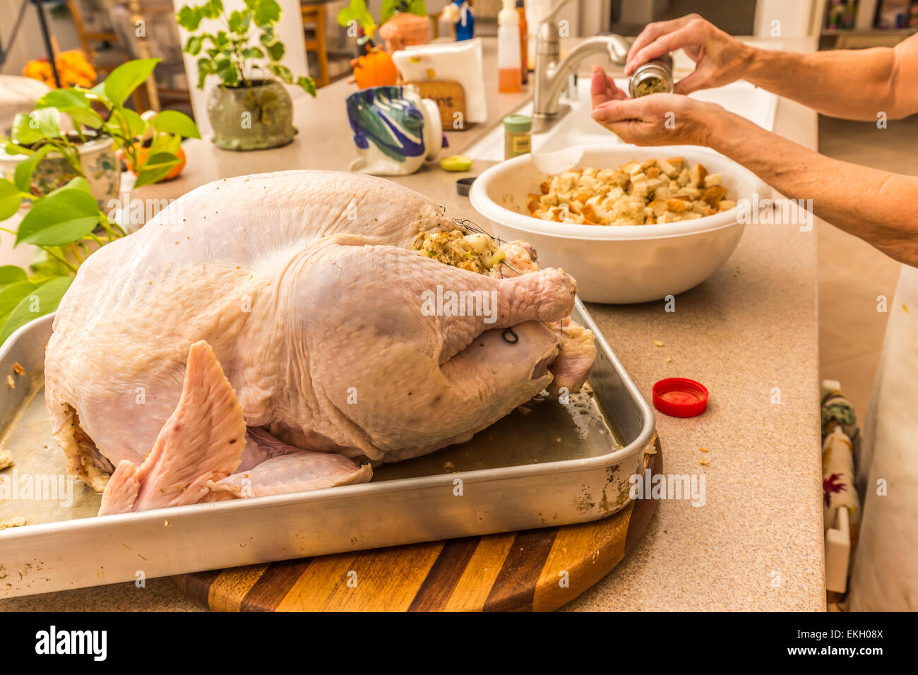 woman making dressing and stuffing turkey in suburban kitchen in san ...