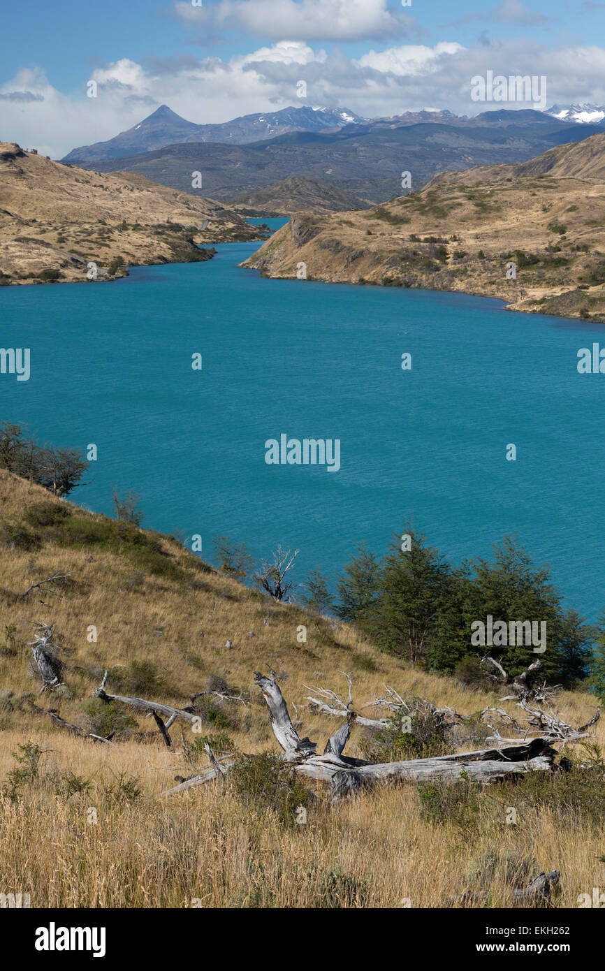 Pehoe lake chile hi-res stock photography and images - Alamy