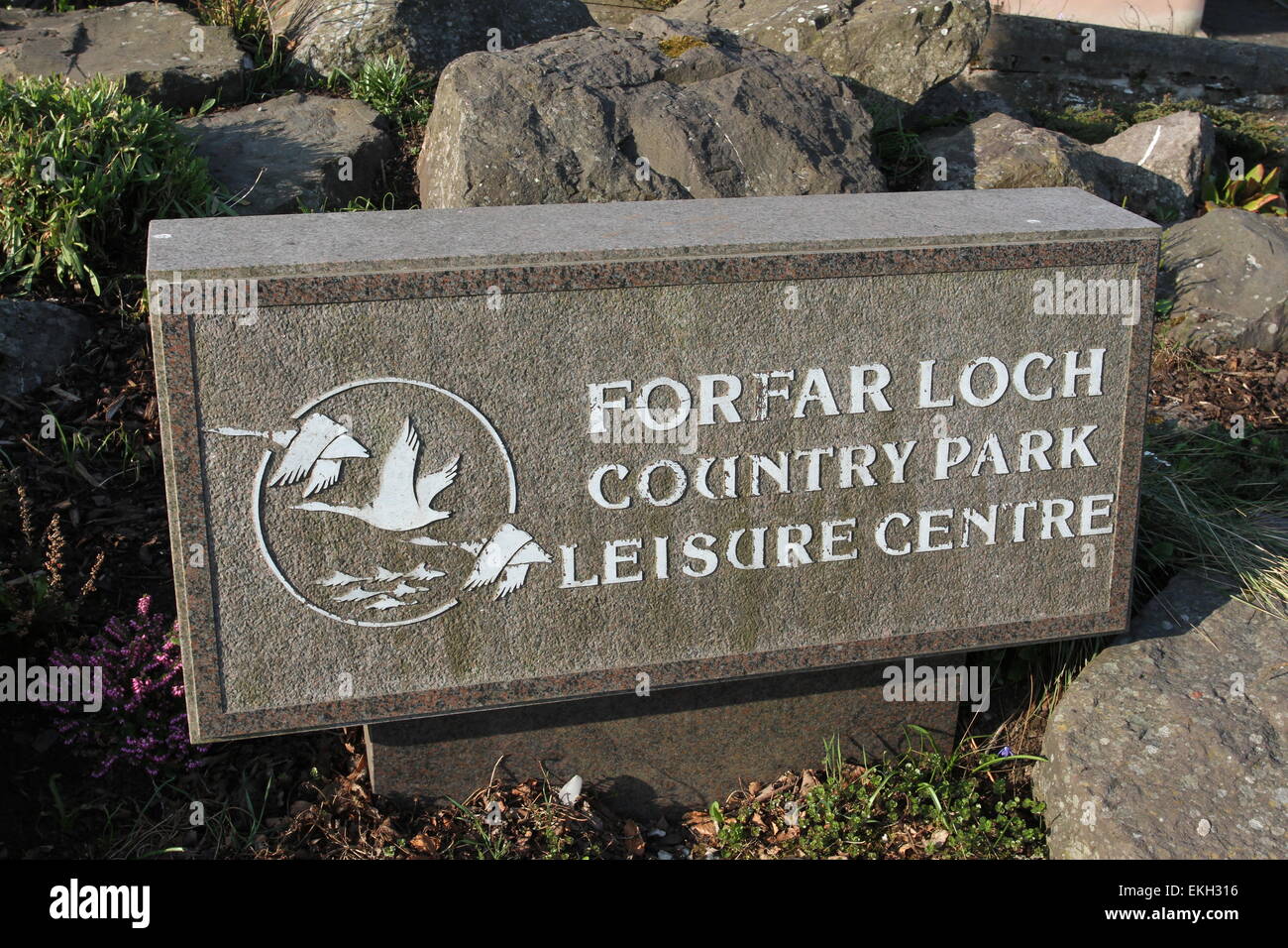 The Park Leisure Centre High Resolution Stock Photography and Images ...