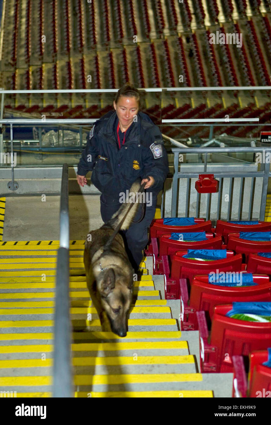 A CBP canine unit conducts a security sweep at Raymond James Stadium in ...