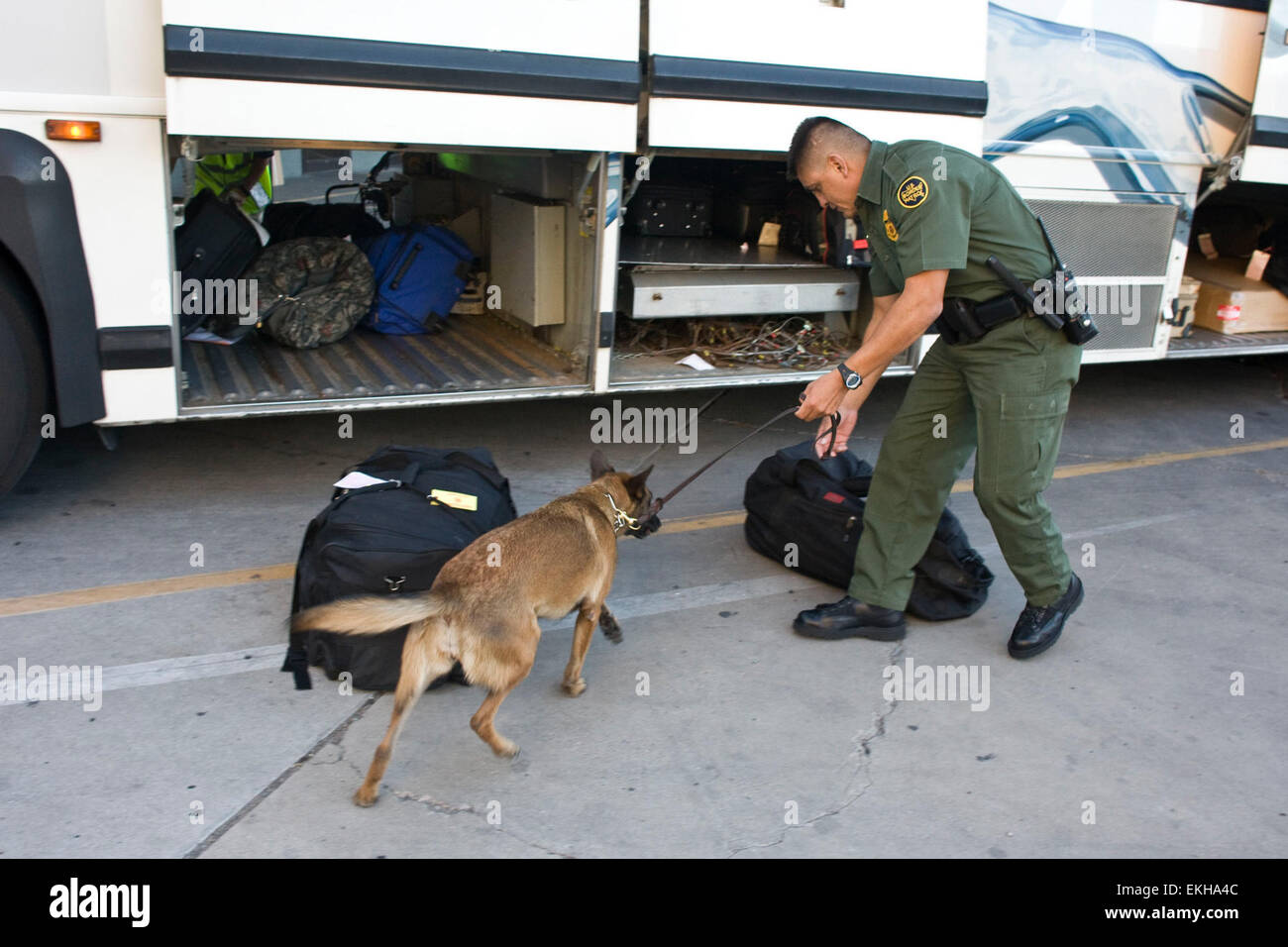 A CBP Border Patrol canine officer inspects a vehicle entering the U.S ...