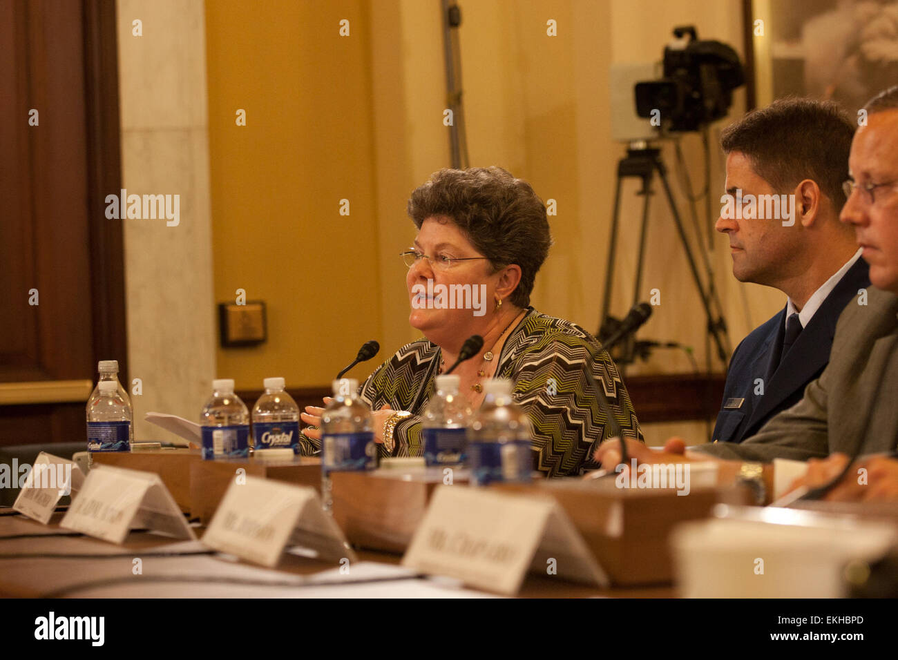 The Honorable Caryn Wagner, Under Secretary of the Office of ...