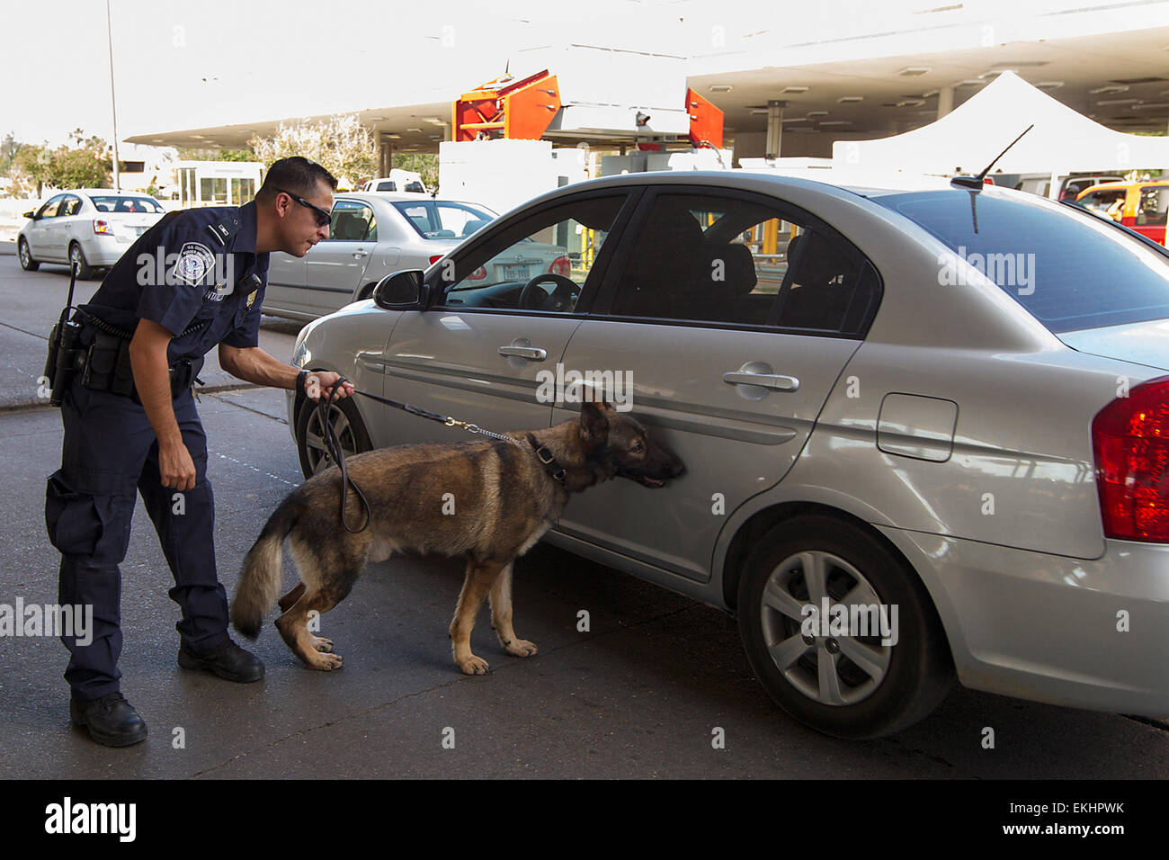 A CBP officer and a canine conduct an inspection of inbound vehicles at ...