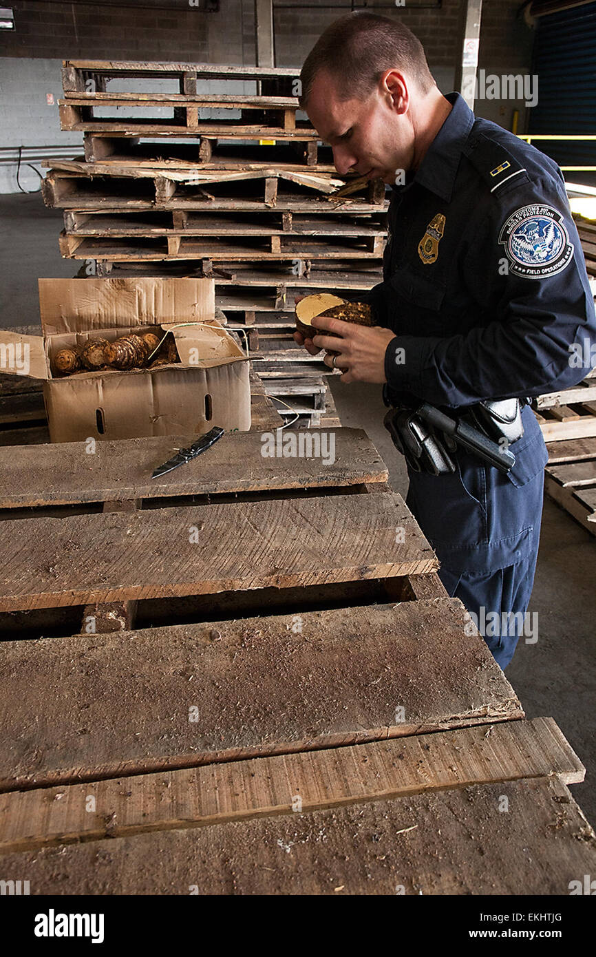 Narcotics team hi-res stock photography and images - Alamy