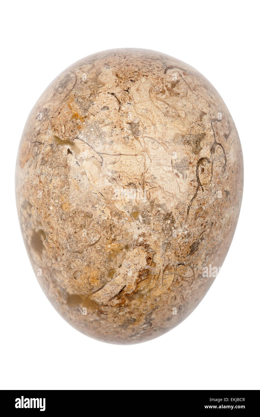 Stone egg isolated on white background Stock Photo - Alamy