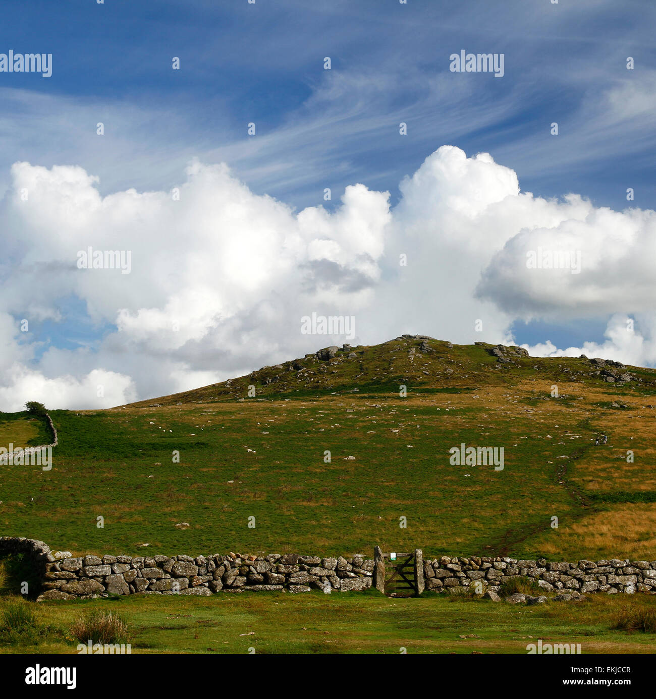 Rippon tor the highest point on east dartmoor, good walking countryside ...