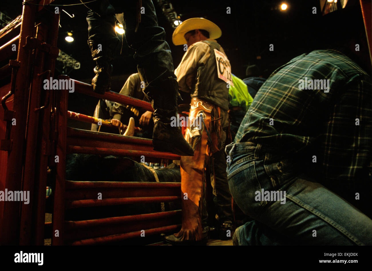 Texas Fort Worth Stockyards Rodeo High Resolution Stock Photography and ...