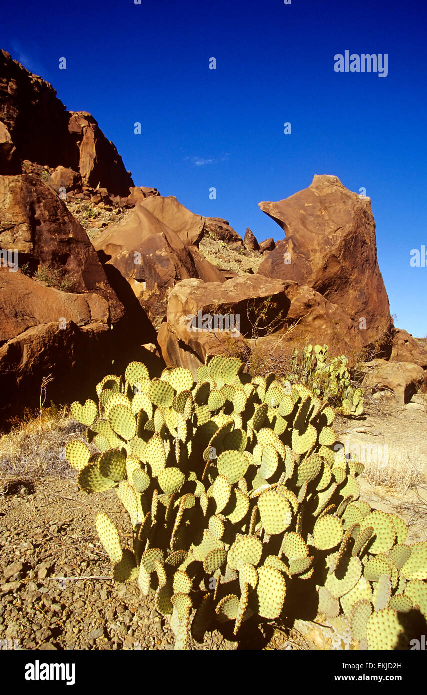 The geology of Big Bend National Park reveals evidence of both volcanic ...