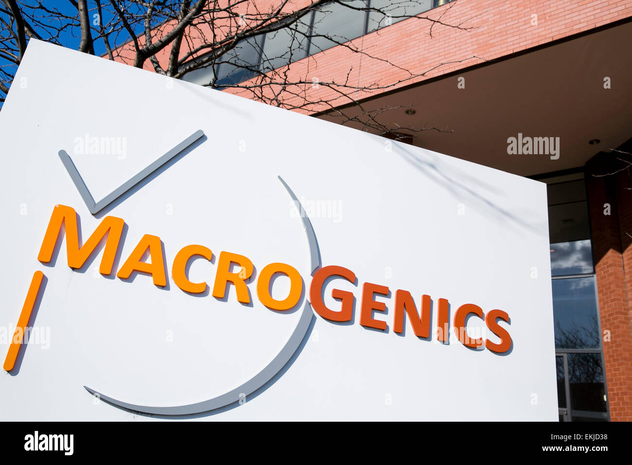 Macrogenics hi-res stock photography and images - Alamy