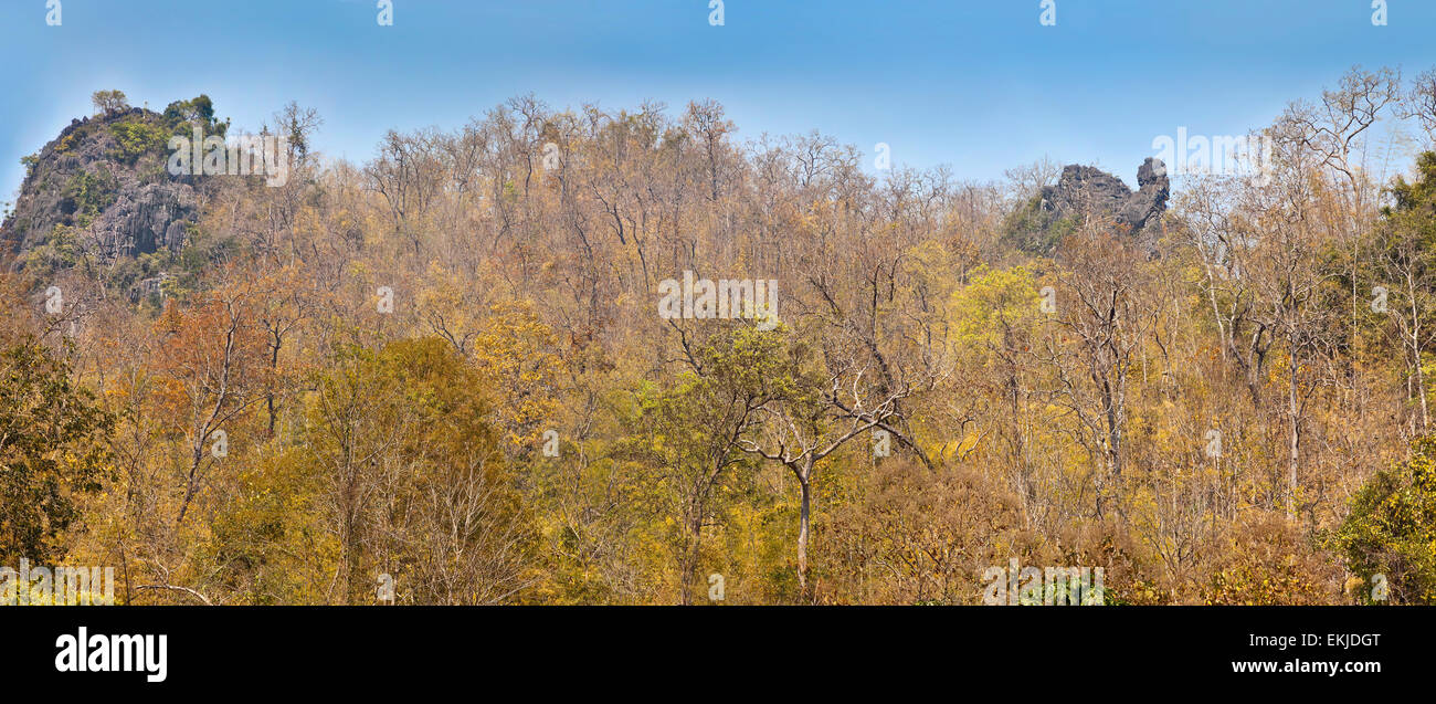 Tropical dry forest hi-res stock photography and images - Alamy